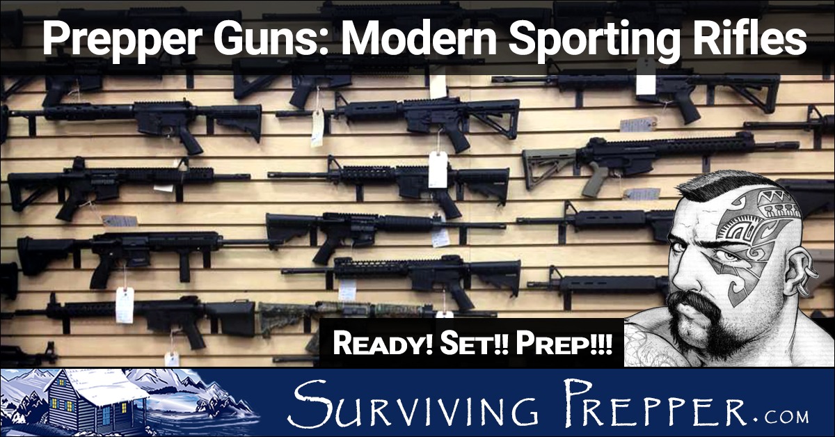 Ready! Set!! Prep!!! - Modern Sporting Rifles - Surviving Prepper