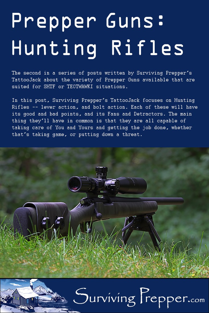 Guns_Hunting_Rifles_Pinterest - Surviving Prepper