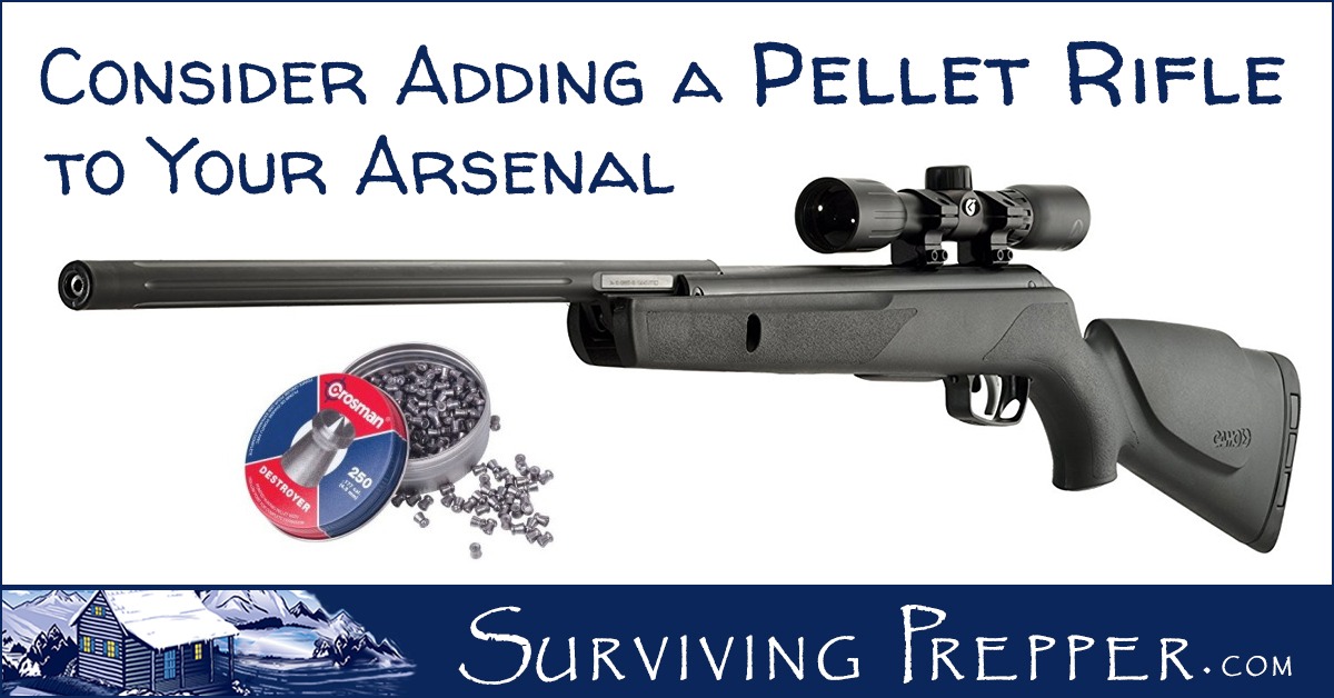 Consider Adding a Pellet Rifle to Your Arsenal - Surviving Prepper